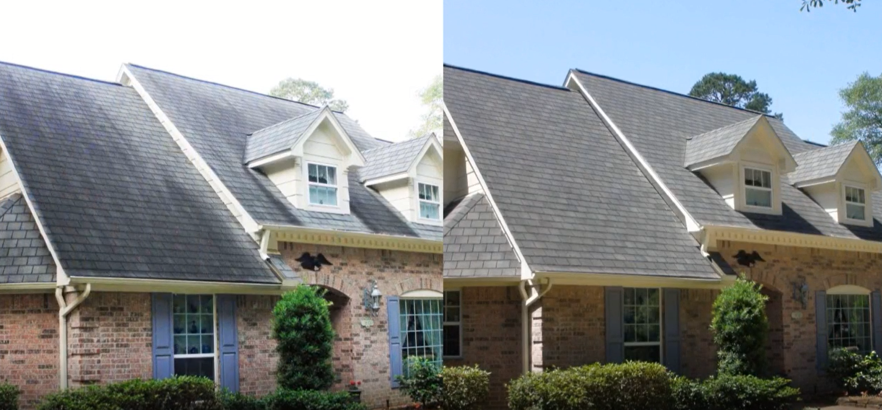 Excel Eco Clean | Carpet Cleaning Services | Charleston, IL