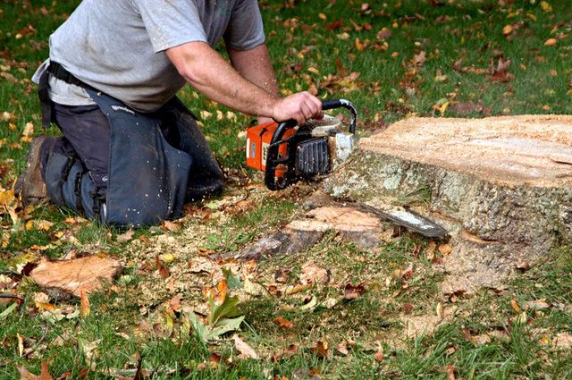Lot Clearing | Underbrush Cutting | Salisbury, MD