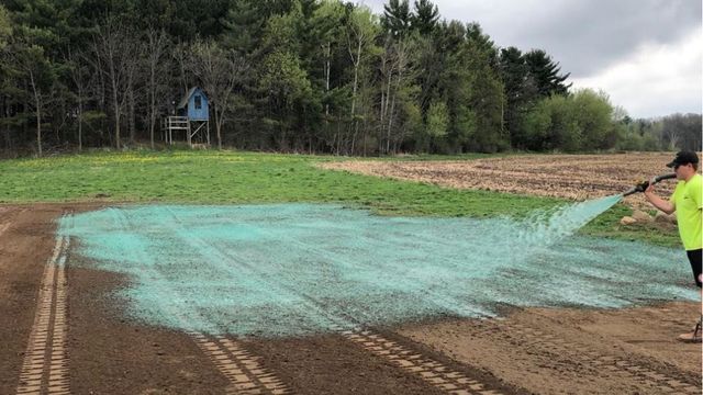 Lawn Renovation | Hydroseeding | Woodville, WI
