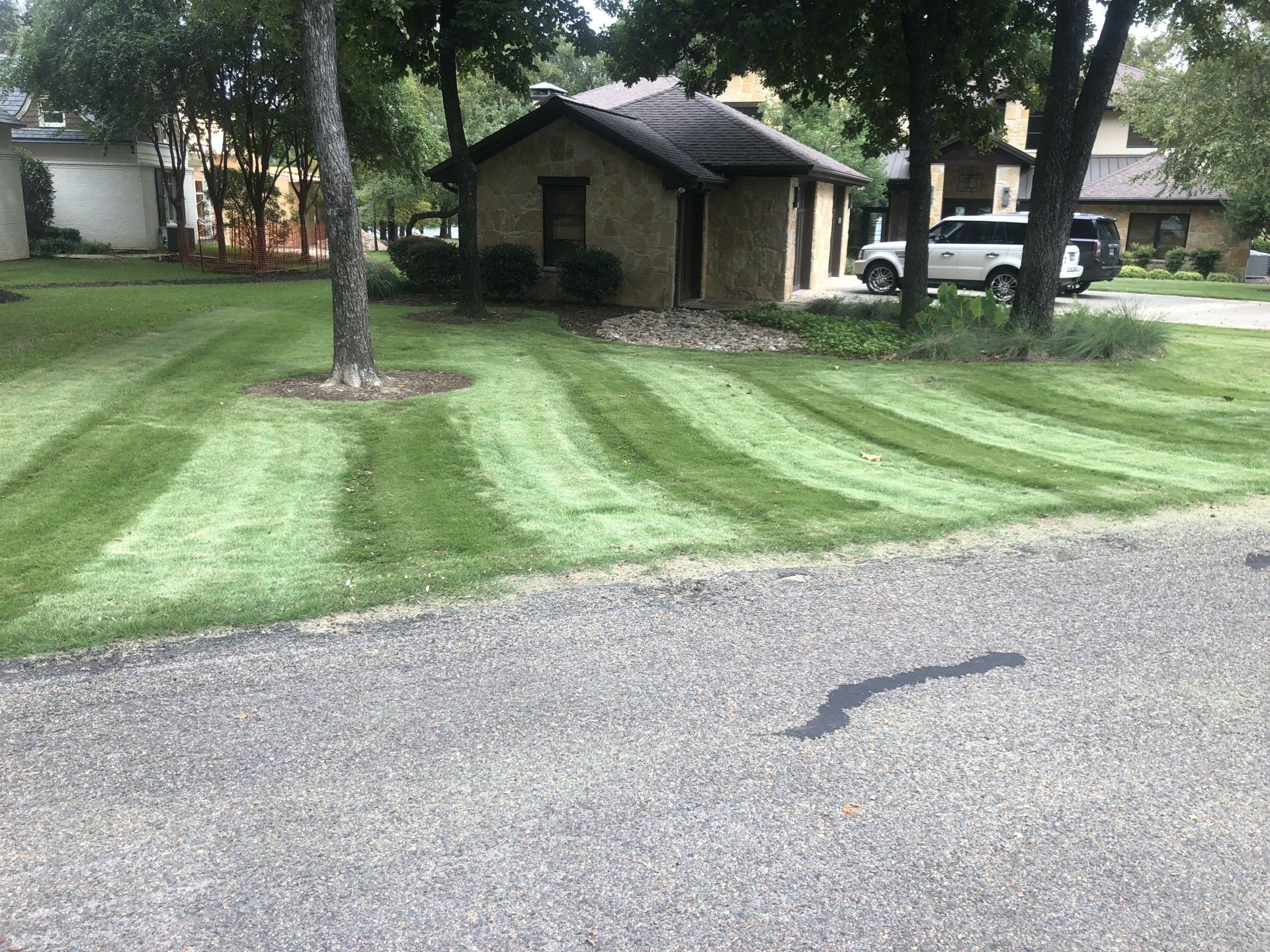 Emerald Zoysia Grass