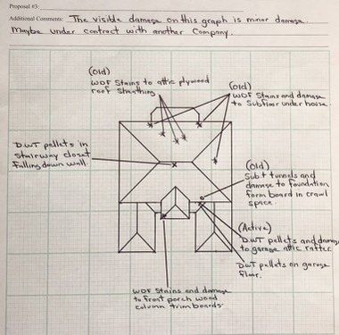 Termite Inspection | Termite Treatment | Saint Petersburg FL